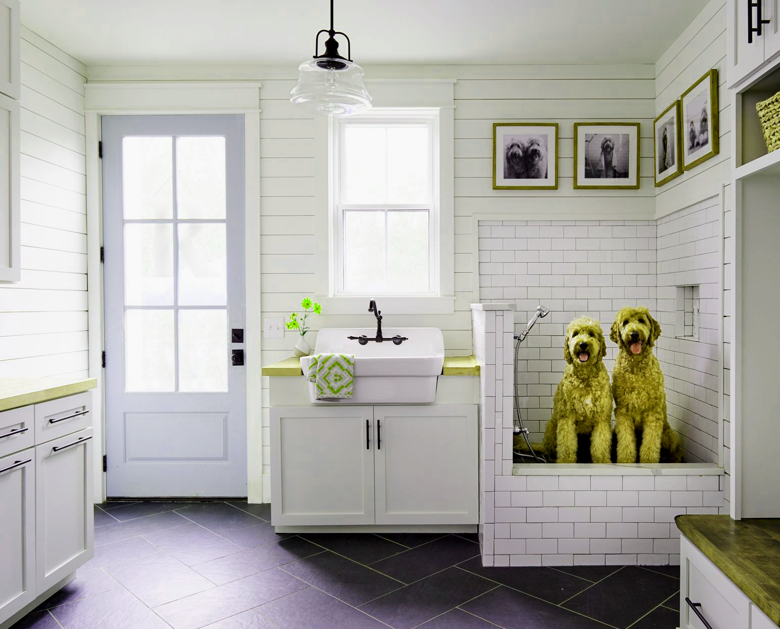 What Are the Essentials of a Pet-Friendly Home? - Petcare Mag